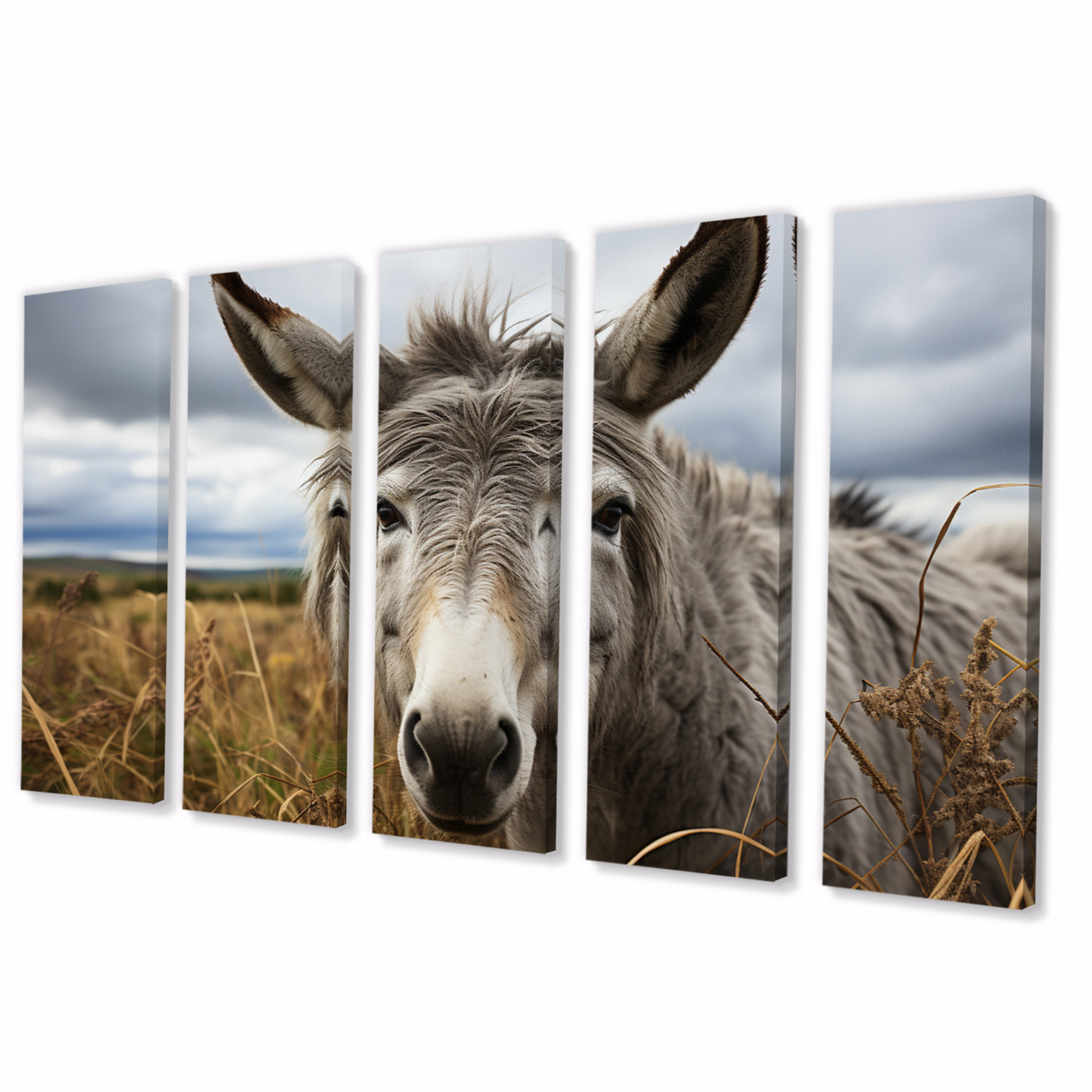 Design Art Grey Donkey Gentle Companion - Animals Wall Decor - 5 Equal ...