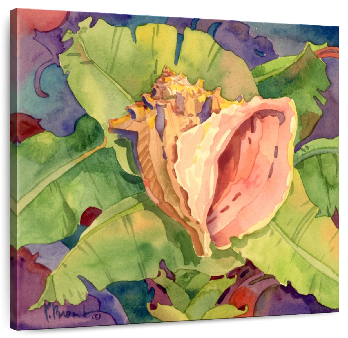 Elephant Stock Mango Bay Conch | Wayfair