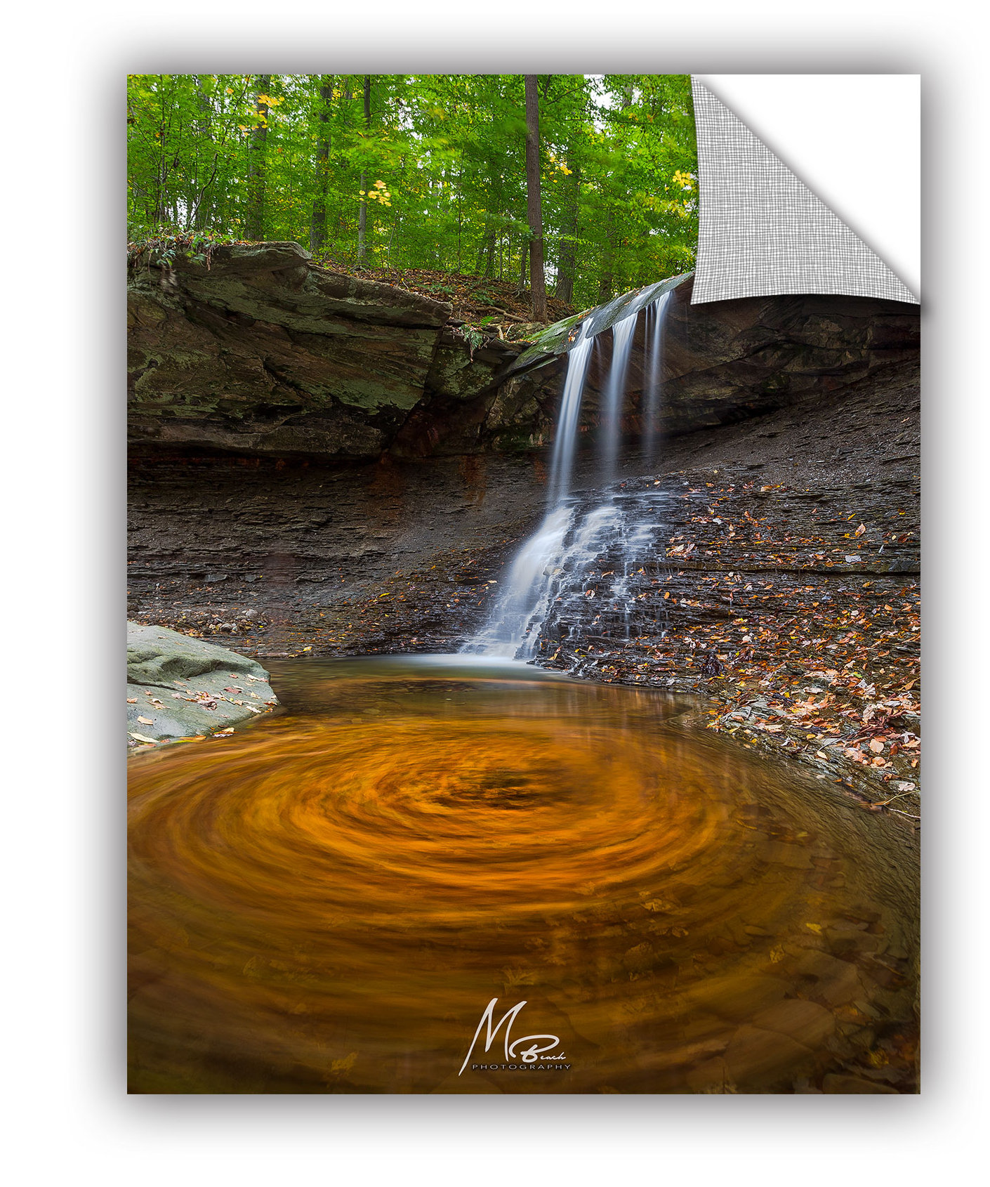 Ebern Designs Michael Beach Whirlpool of Leaves Removable Wall Decal ...