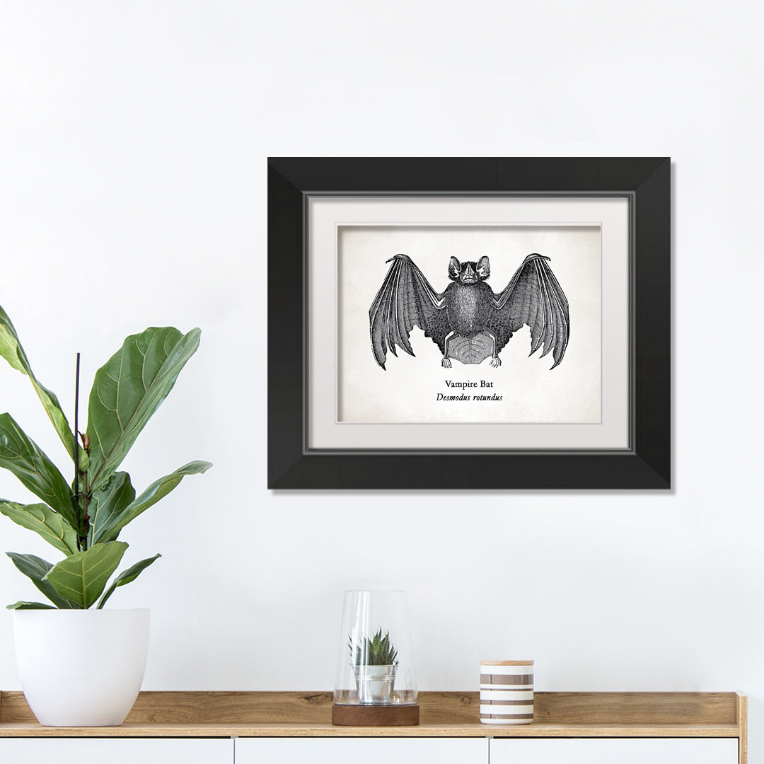 The Holiday Aisle® Bat - Picture Frame Graphic Art | Wayfair