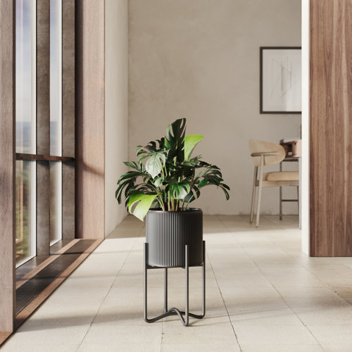 Wayfair | Indoor Planters