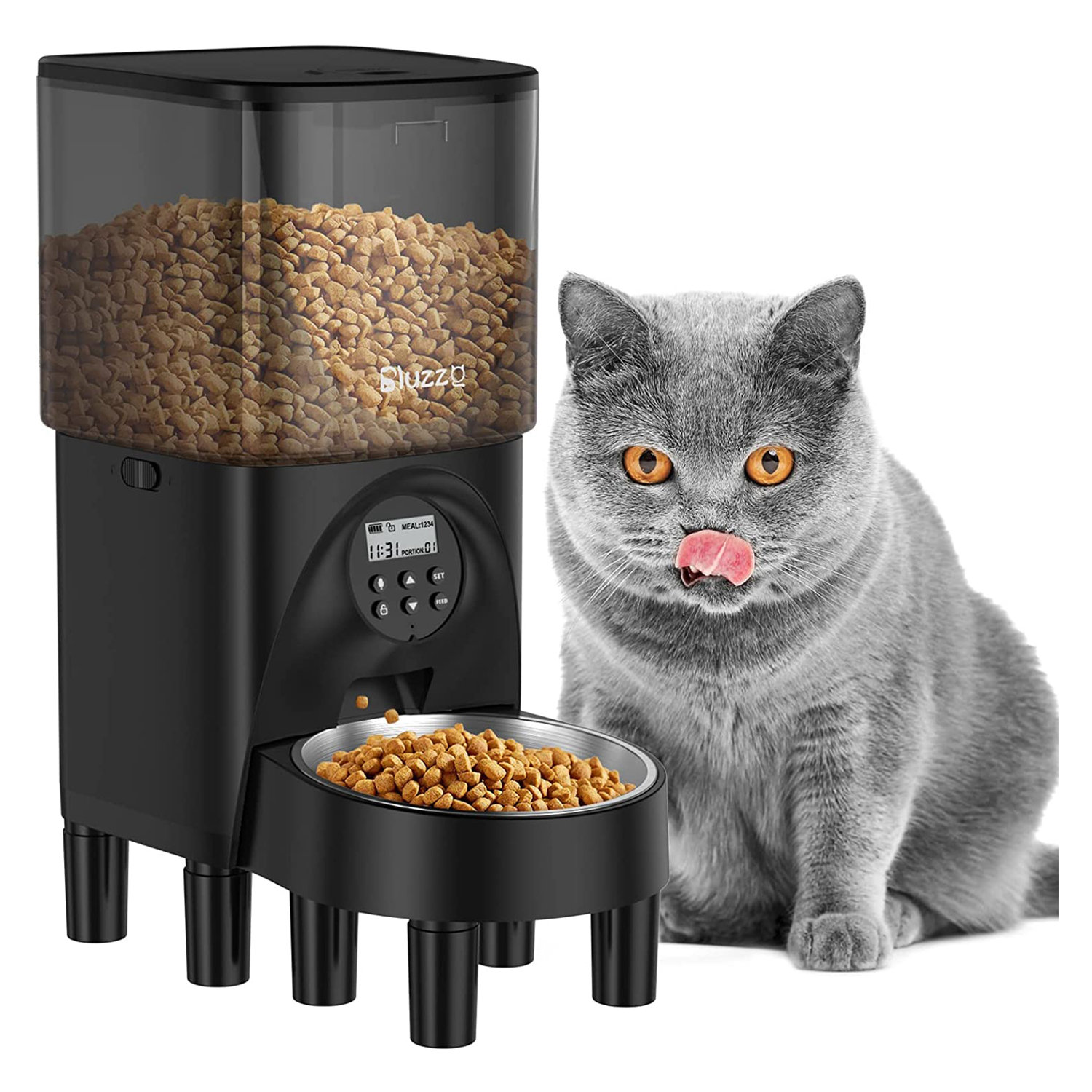 gearonic Automatic Feeder & Reviews | Wayfair