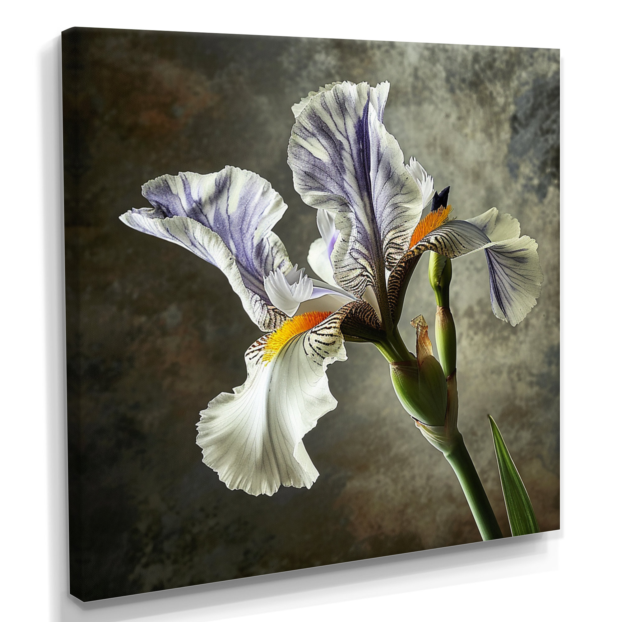 Design Art Blossoming Iris Flower Close-Up - Irises Wall Art Decor ...