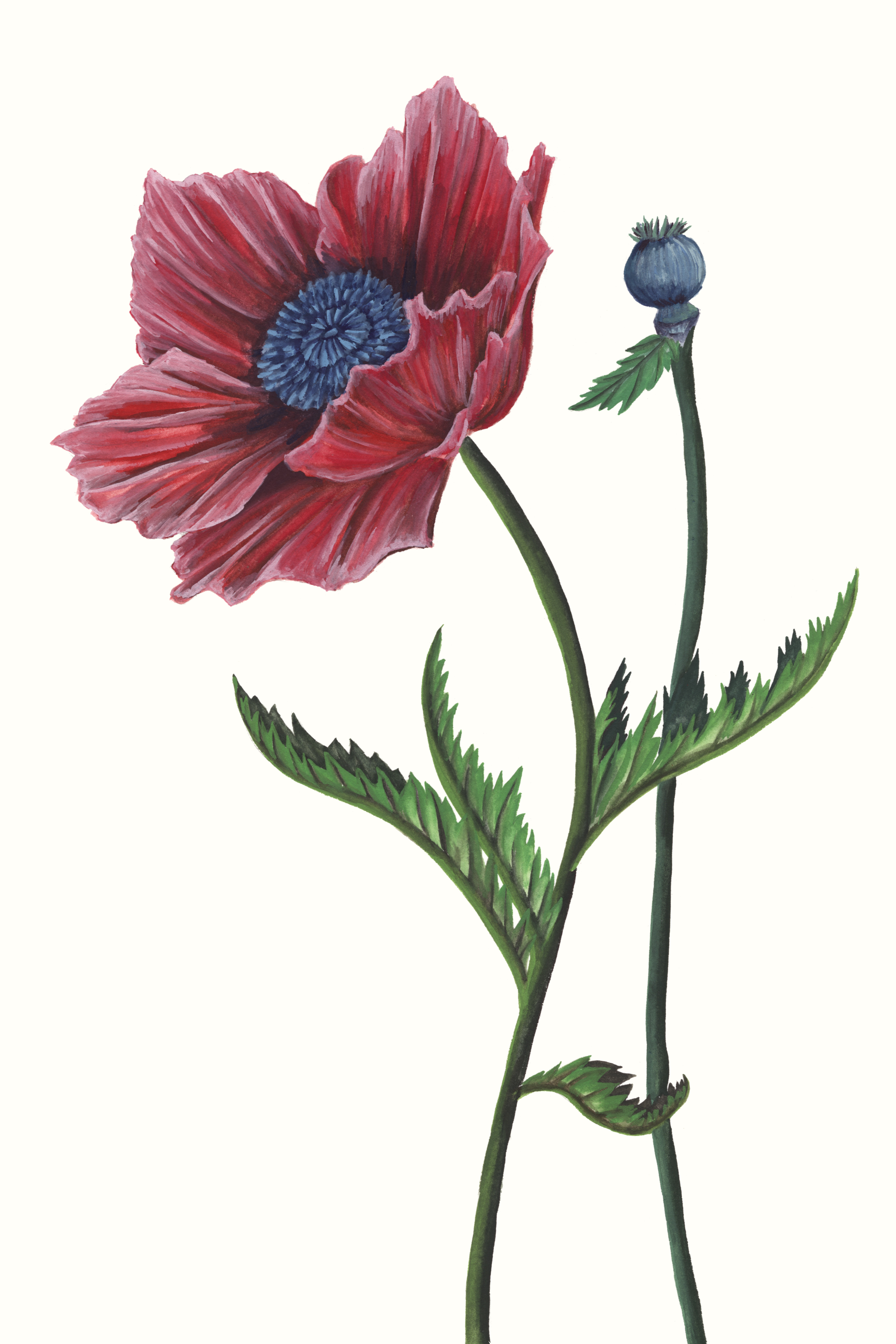 Rosalind Wheeler Poppy Flower II by Melissa Wang - Painting | Wayfair.co.uk