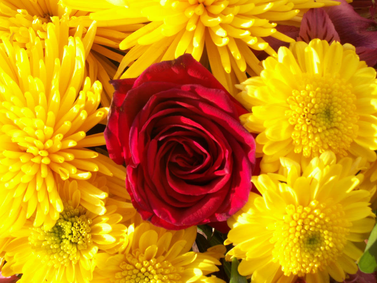 Ebern Designs Acceptance Wall Decal | Wayfair