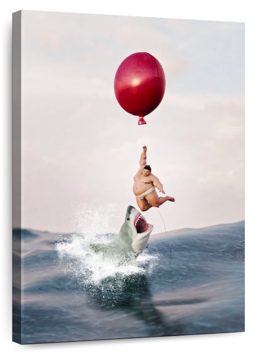 Ebern Designs Sireci Sumo Shark Escape - Wayfair Canada