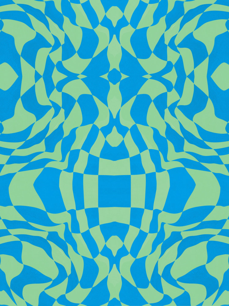 Ivy Bronx Cool Colors Warp Checkers | Wayfair.co.uk