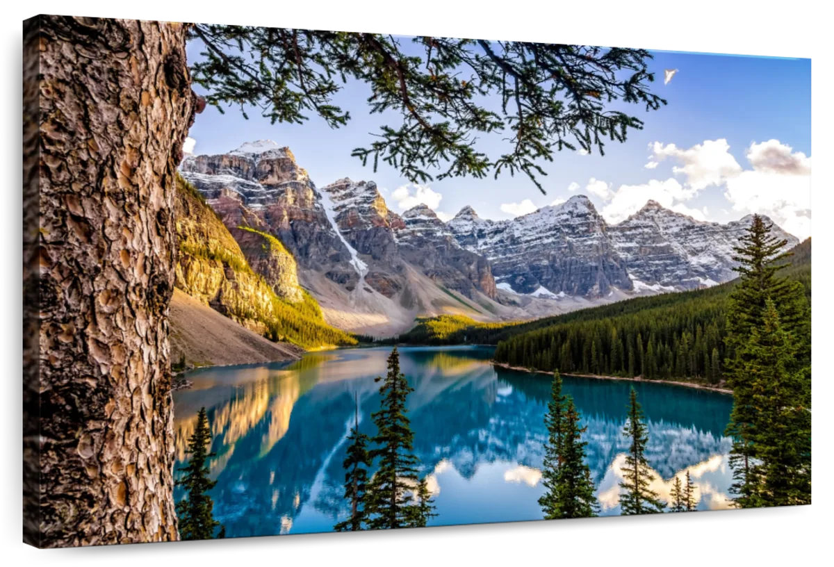 Millwood Pines Alvord Morain Lake Landscape | Wayfair