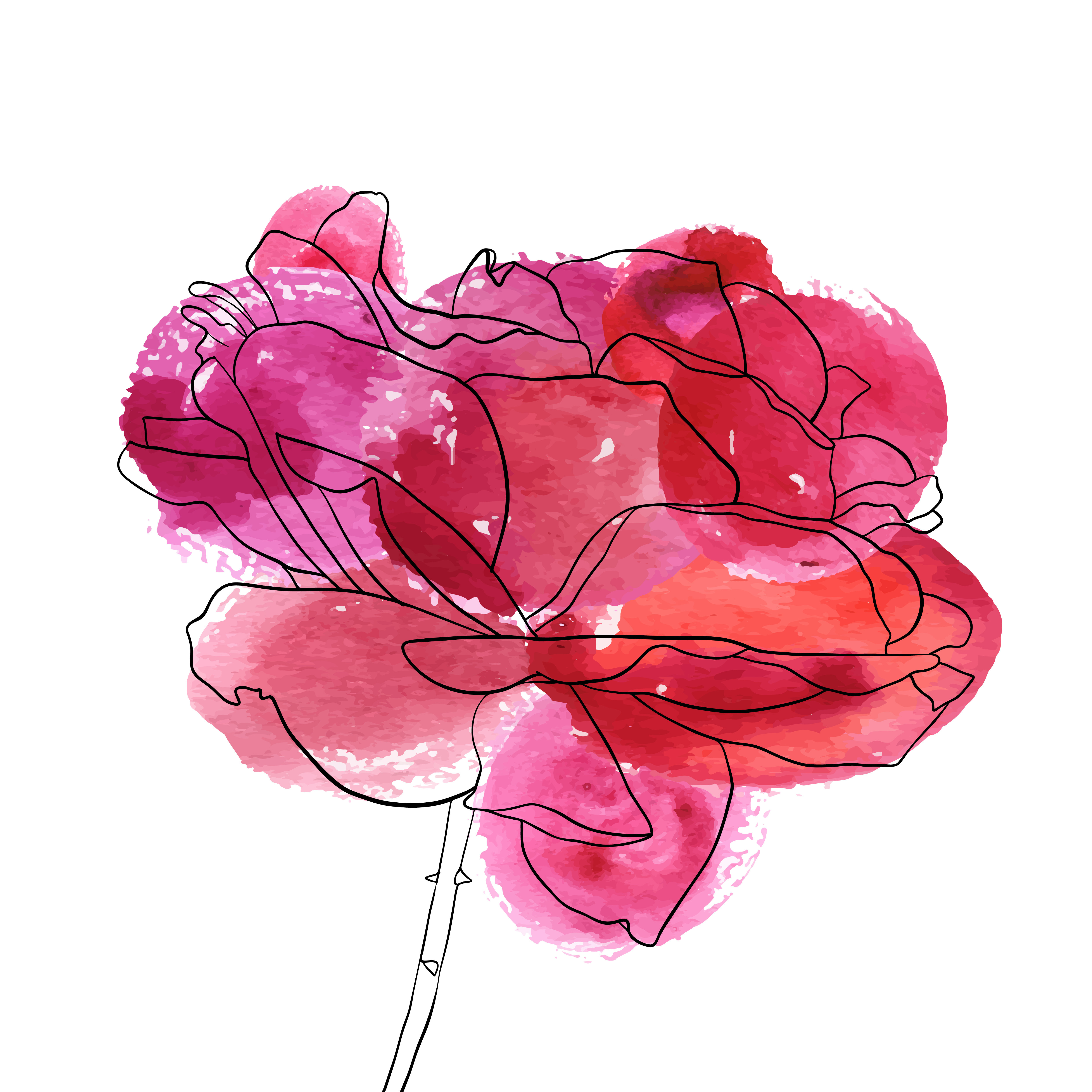Winston Porter Vector Drawing Flower Of Rose - Wayfair Canada