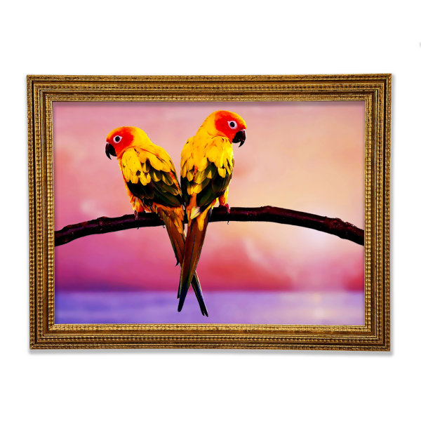 Bay Isle Home Twin Parrots - Single Picture Frame Print | Wayfair.co.uk