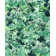 Ebern Designs Bouzoun Evergreen 2.5m x 200cm Matt Wallpaper Mural ...