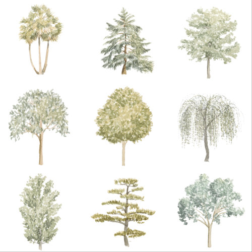 Red Barrel Studio® Tree Varieties II | Wayfair