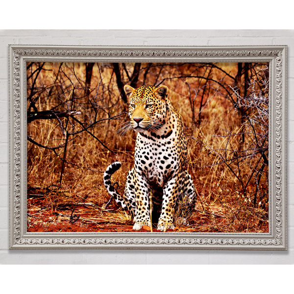 Bright Star Leopard Hunt - Single Picture Frame Art Prints | Wayfair.co.uk