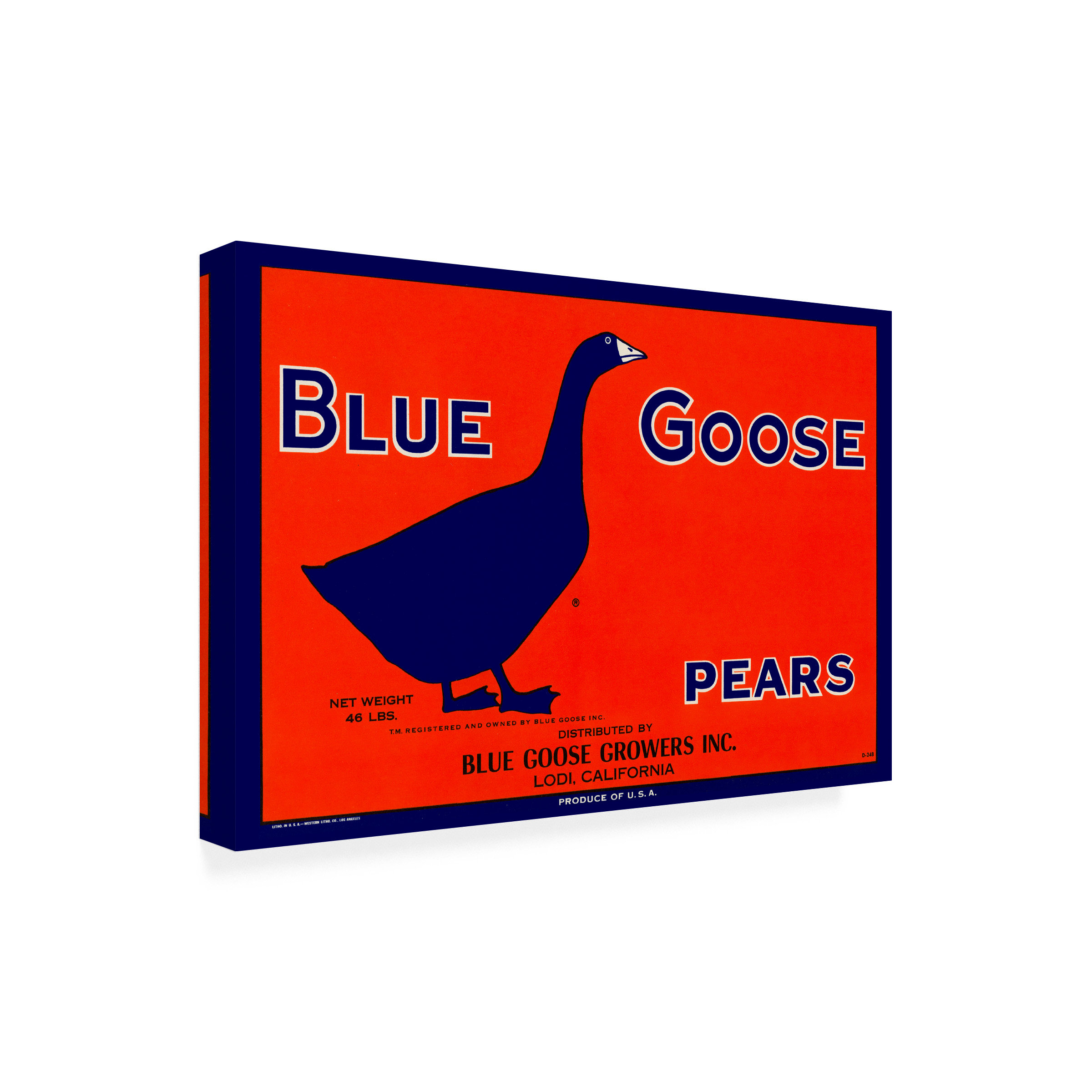 August Grove® " Blue Goose Pears " by Print Collection Painting Print ...