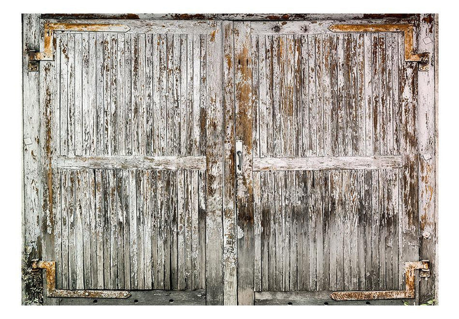 Gracie Oaks Palasz Weathered Wooden Barn Door Wall Mural | Wayfair