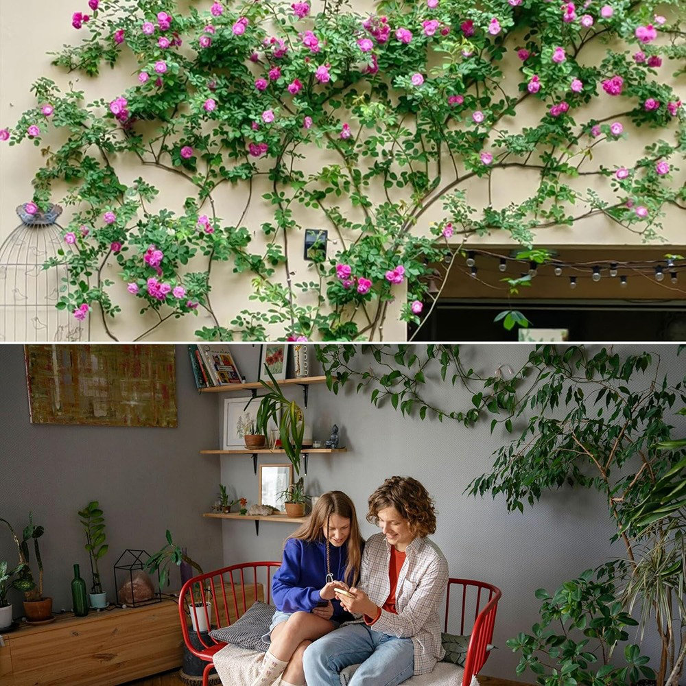 Arlmont & Co. Trellis For Climbing Plants Indoor & Outdoor, Pothos ...