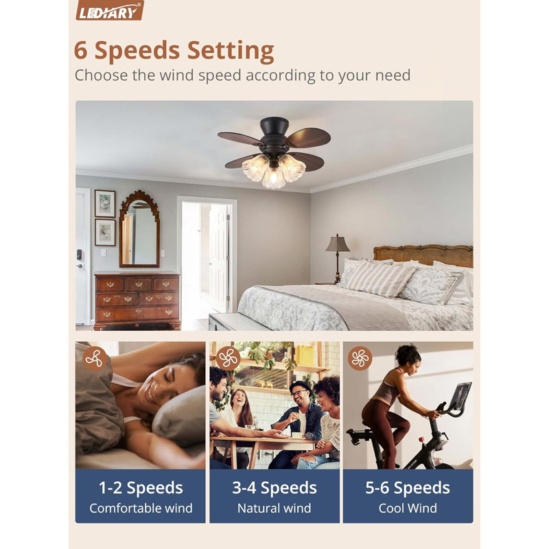 Winston Porter Sasuke Ceiling Fan with Light Kit | Wayfair