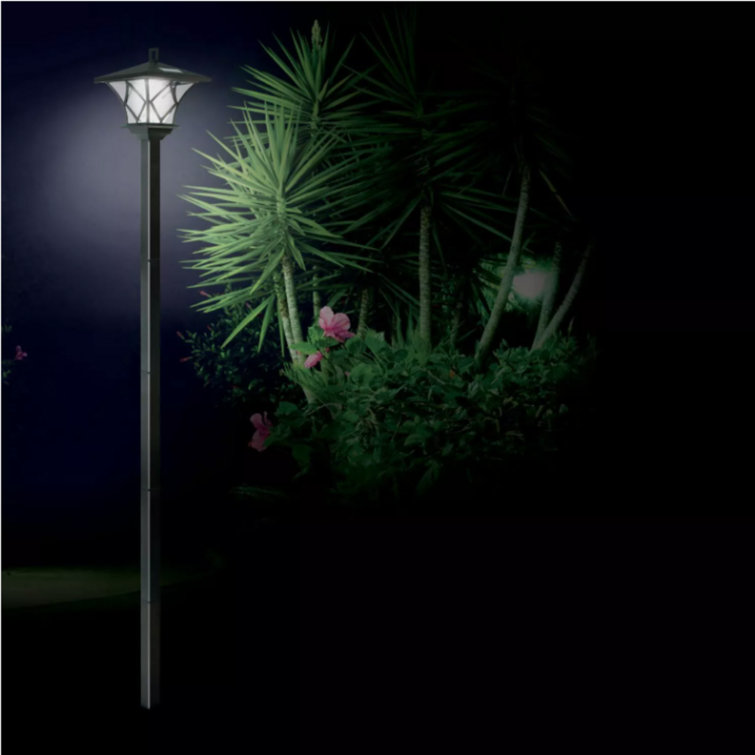THIS IS MY STYLE Natural Solar Powered Integrated LED Pathway Light ...