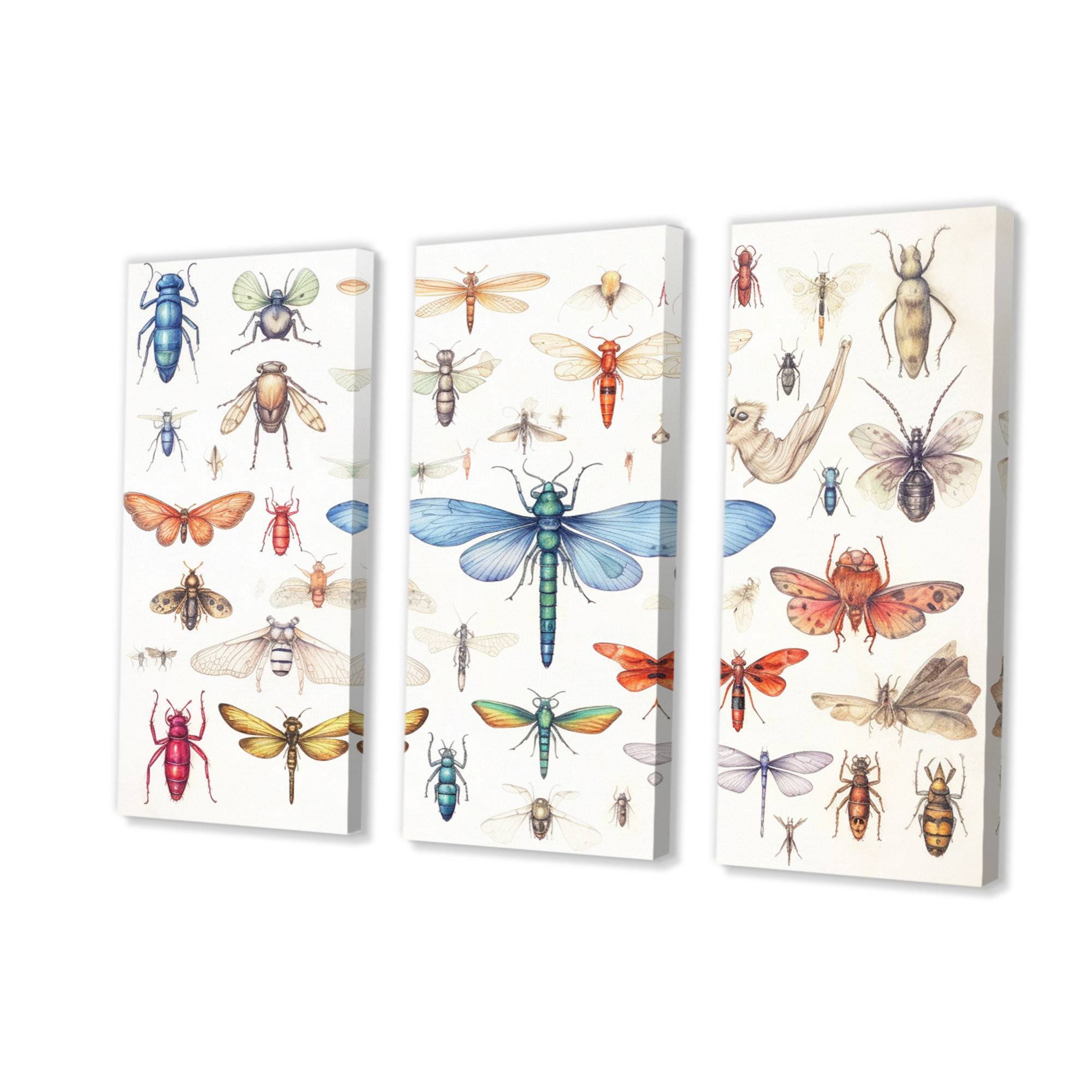 August Grove Tiny Insect Wonders I - Animals Canvas Prints Set ...