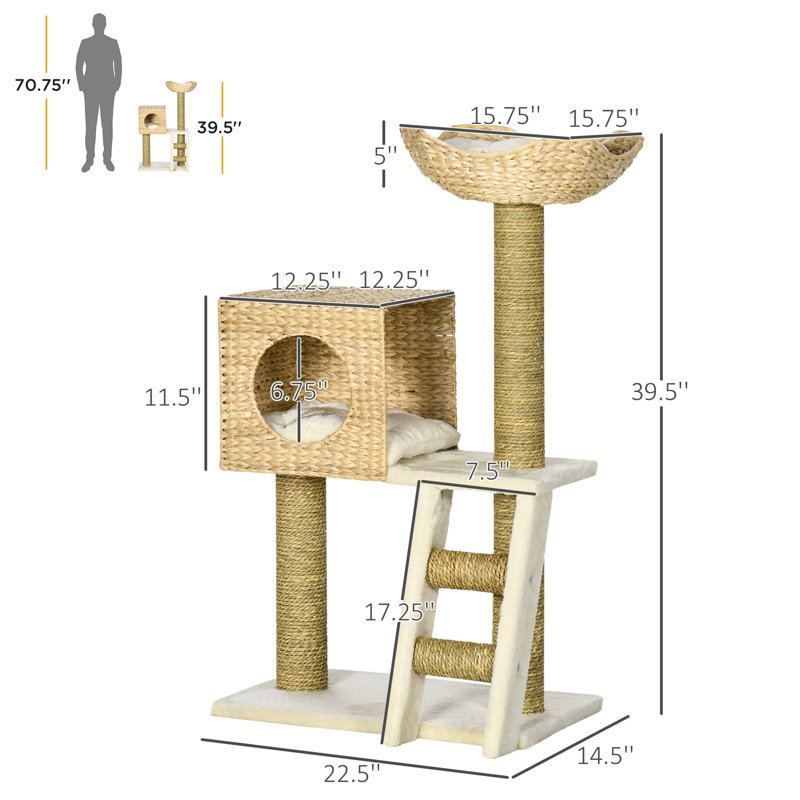 Archie & Oscar™ Indoor Cat Tree And Condo With Cushions & Reviews | Wayfair