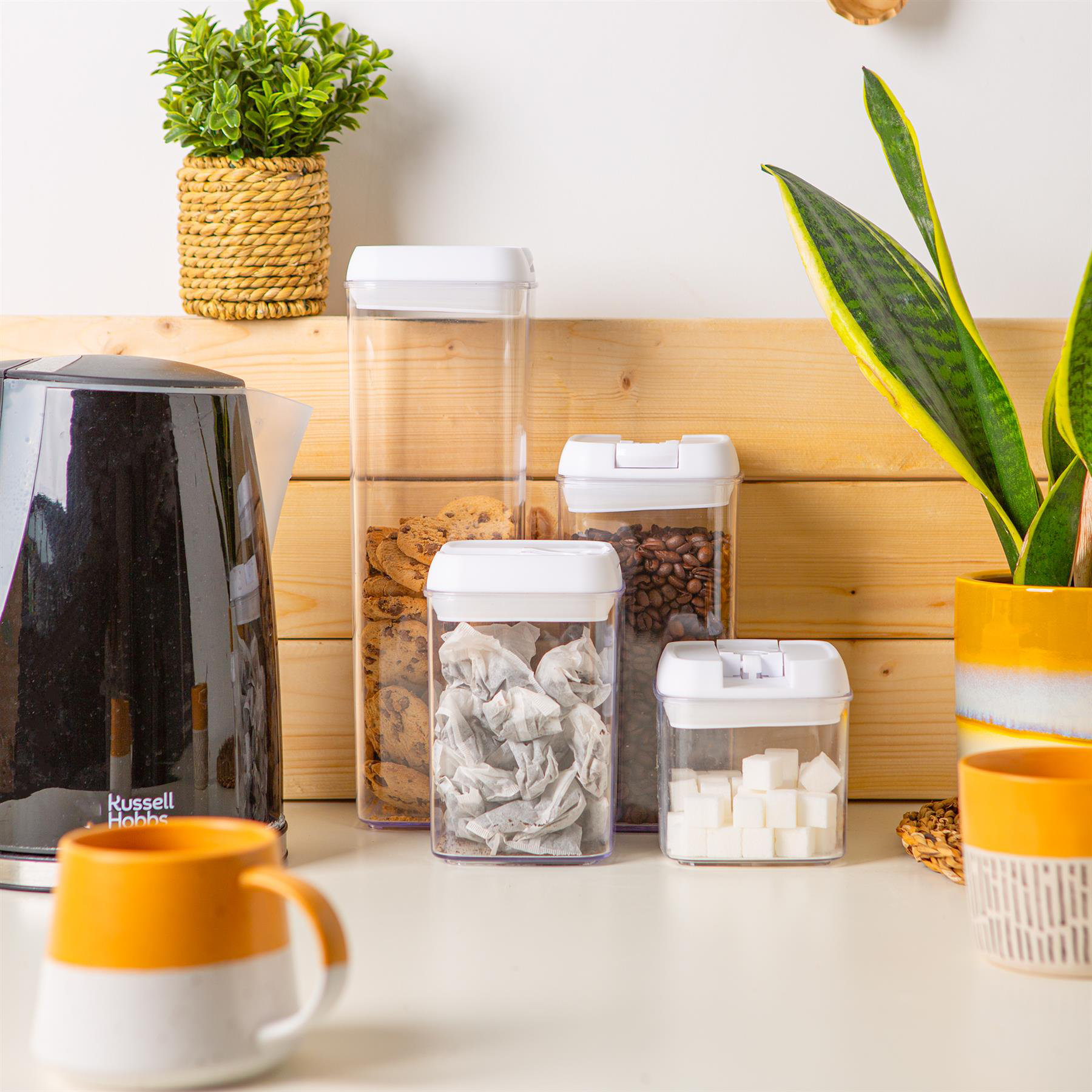 Argon Tableware - Flip Lock Plastic Food Storage Containers | Wayfair.co.uk