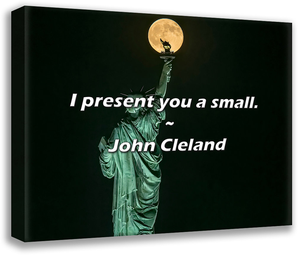 Trinx John Cleland Quote: I present you a small. - Wayfair Canada