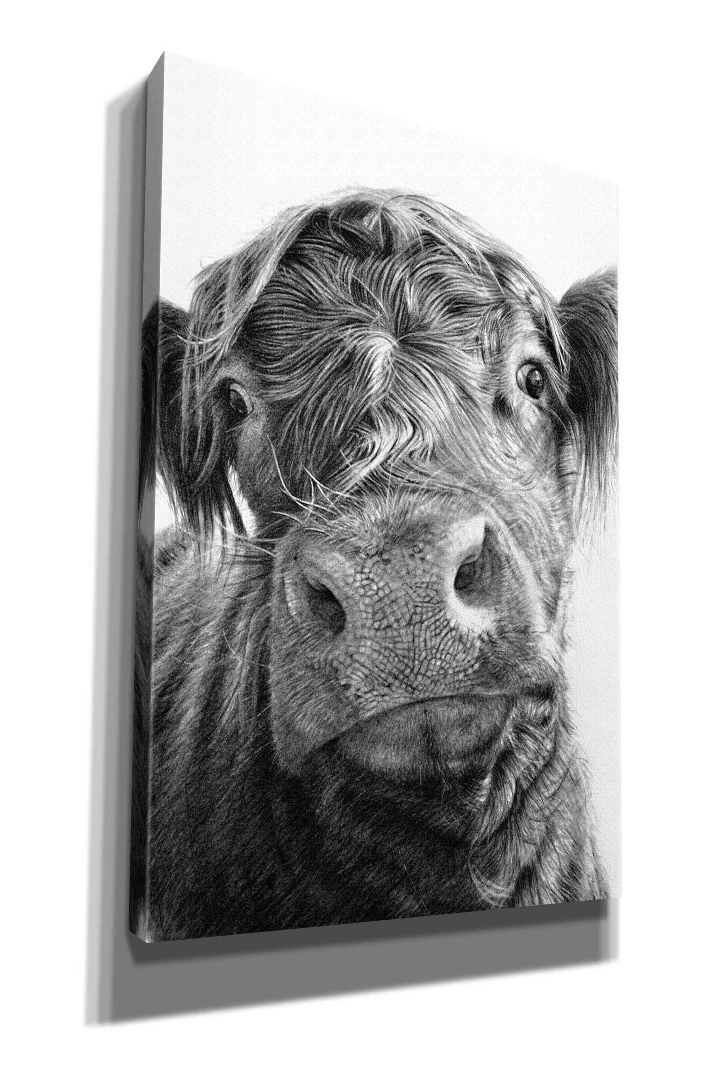 Gracie Oaks 'Brenda' By Sam Dolman, Canvas Wall Art - Wayfair Canada