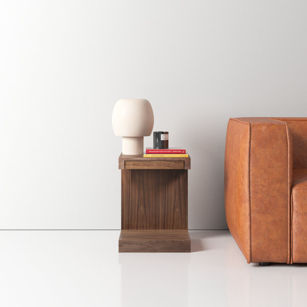 AllModern Zebulon End Table with Storage & Reviews | Wayfair