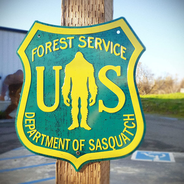 SQUATCH METALWORKS Department of Sasquatch Vintage Forest Service Sign ...