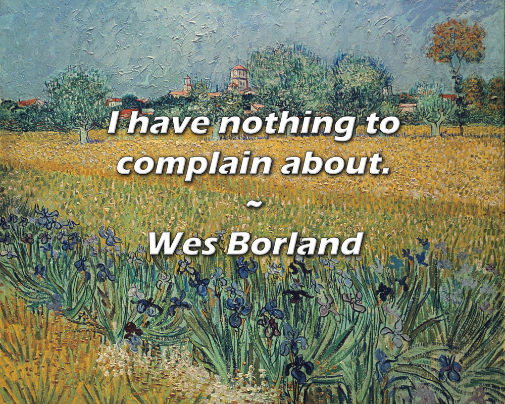 World Menagerie Artsy Quote "I have nothing to complain about." By Wes ...