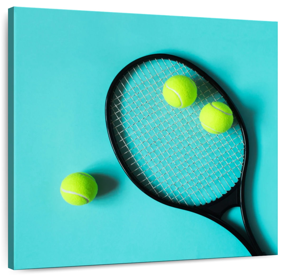 Elephant Stock Tennis Racket Balls | Wayfair