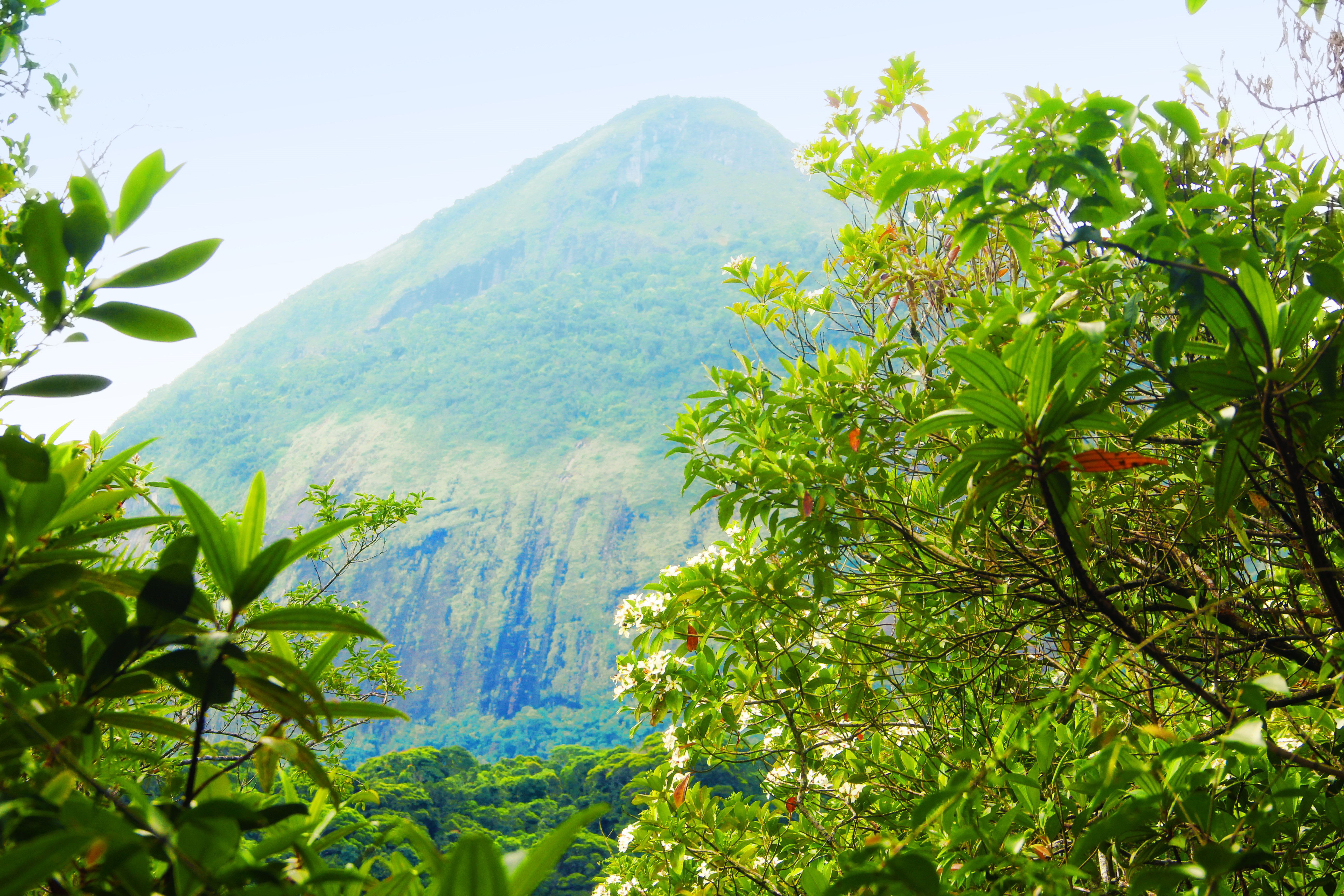 Alpen Home Nevitt Tijuca National Park - Wrapped Canvas Photograph ...