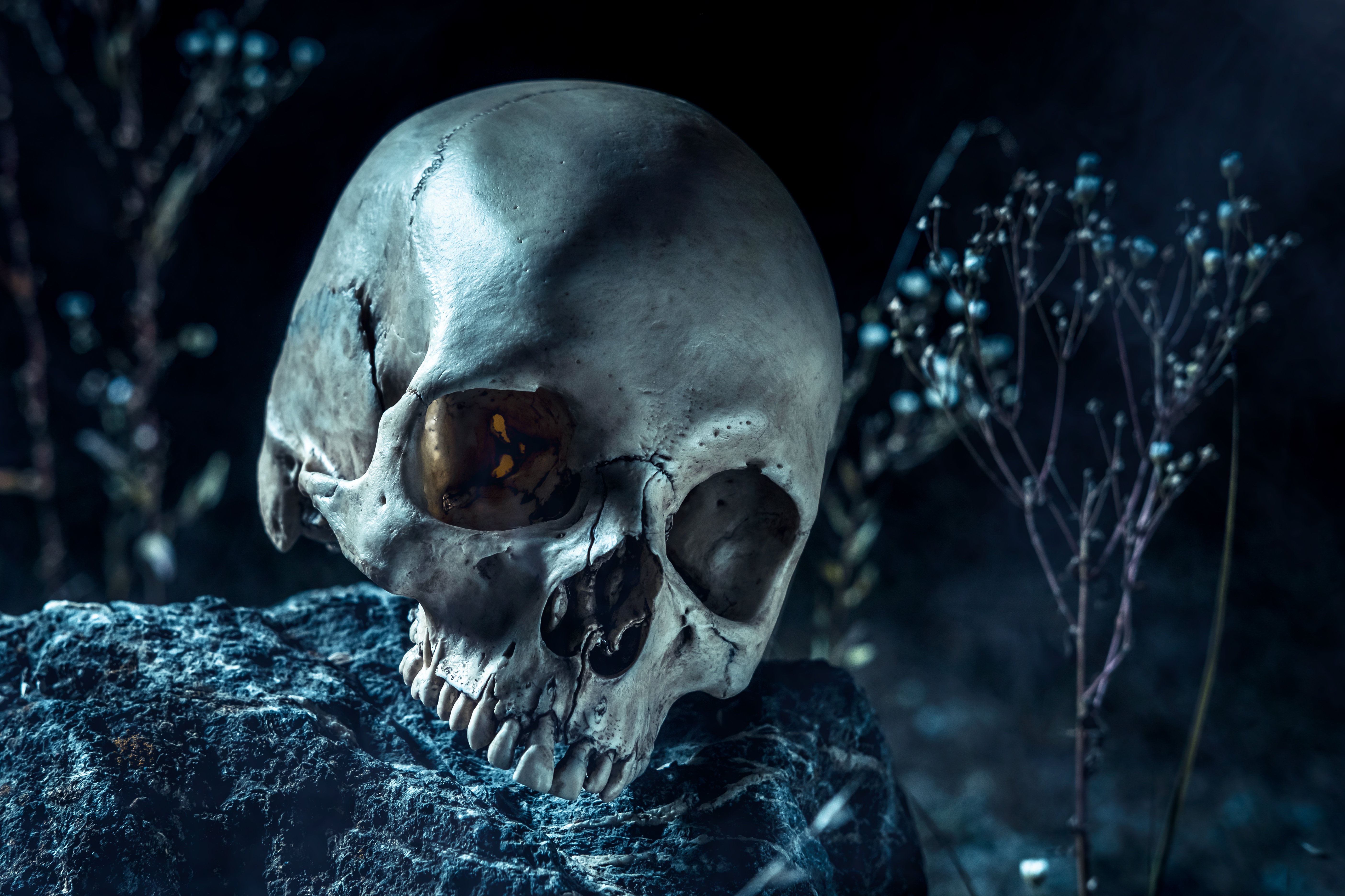 Happy Larry Skull | Wayfair.ie