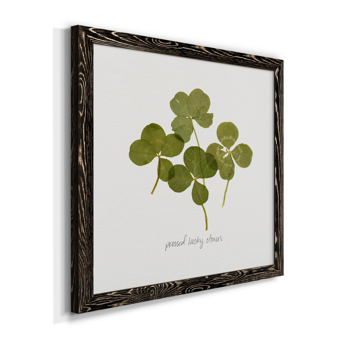 Red Barrel Studio Pressed Clover I-Premium Framed Canvas - Ready To ...
