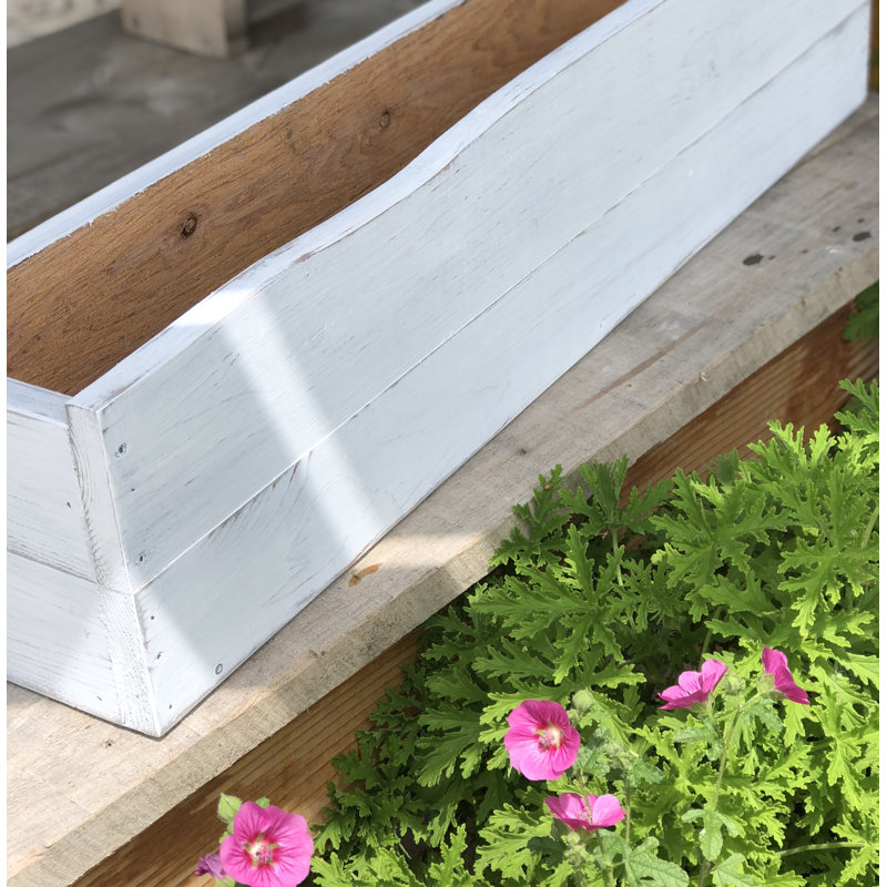 Highland Dunes Imogen Wood Planter Box | Wayfair