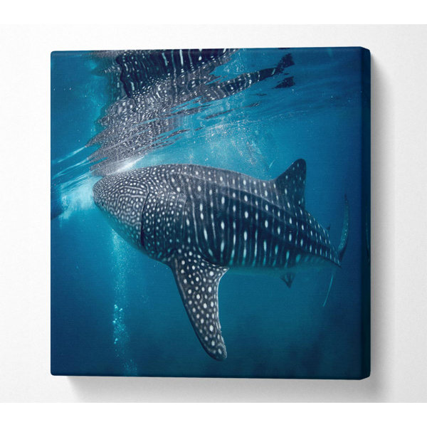 House of Hampton Spotted Whale Shark - Wrapped Canvas Art Prints ...