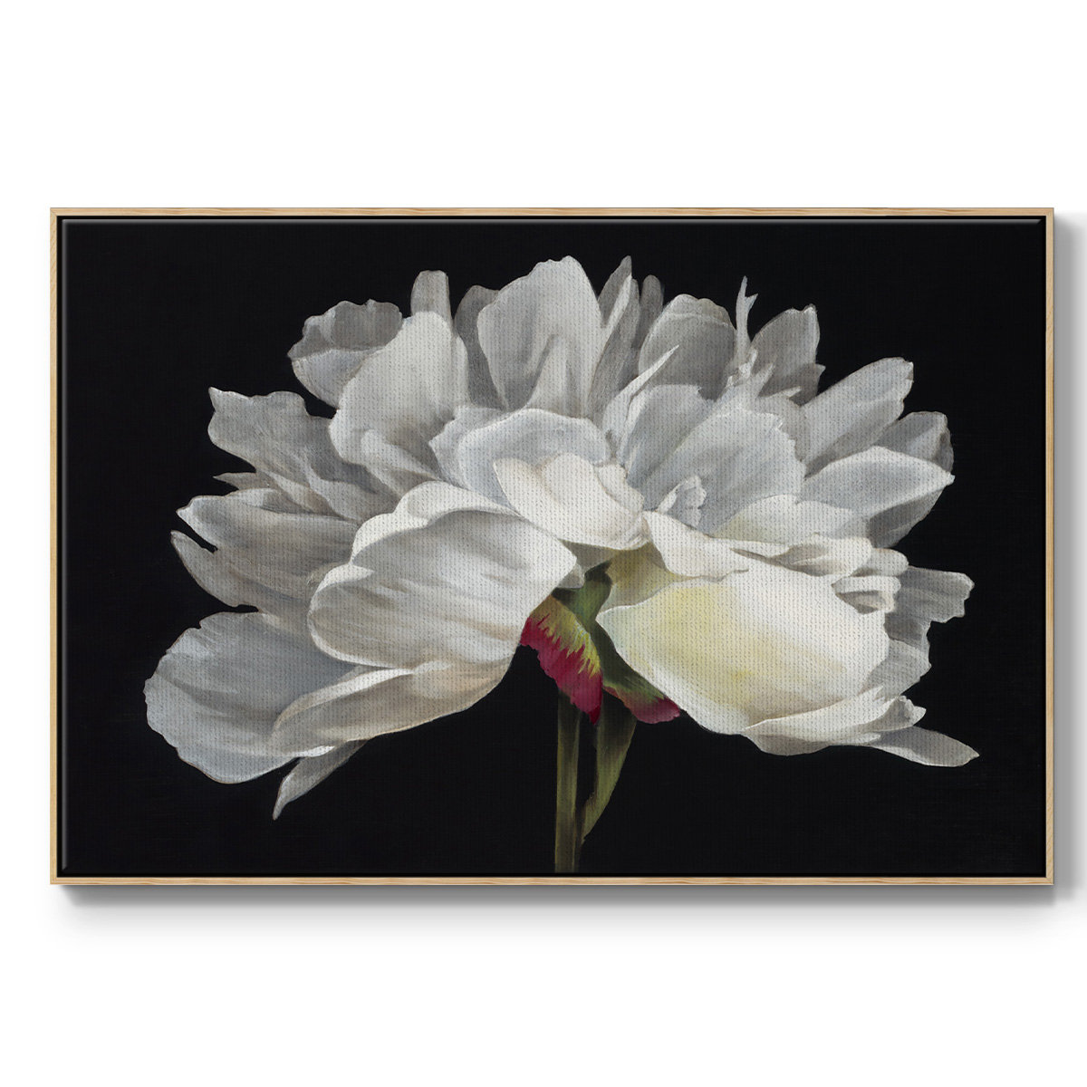 Wexford Home MORNING LIGHT - Wayfair Canada