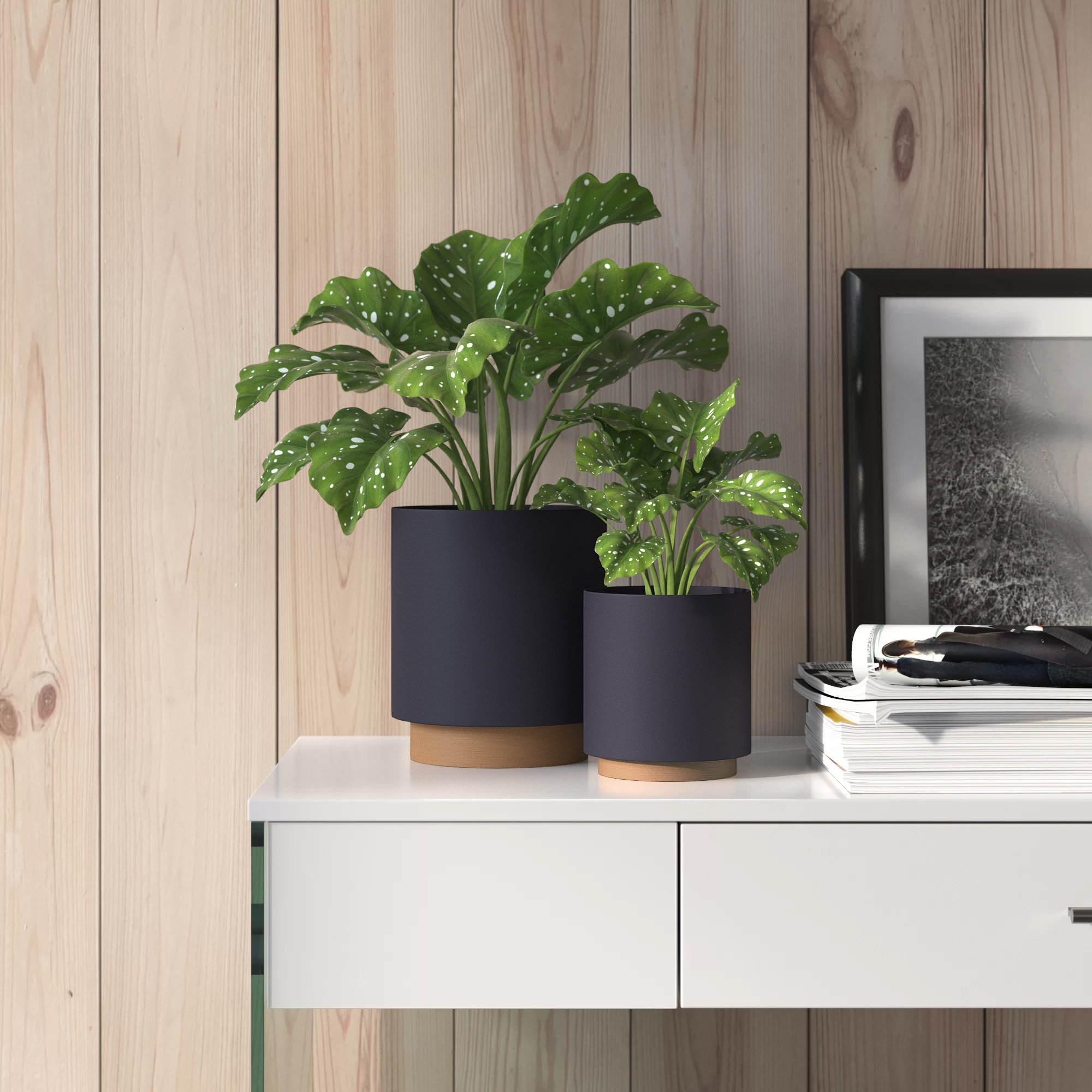 Mercury Row® Alexandrea 2-Piece Iron Cachepot Set | Wayfair