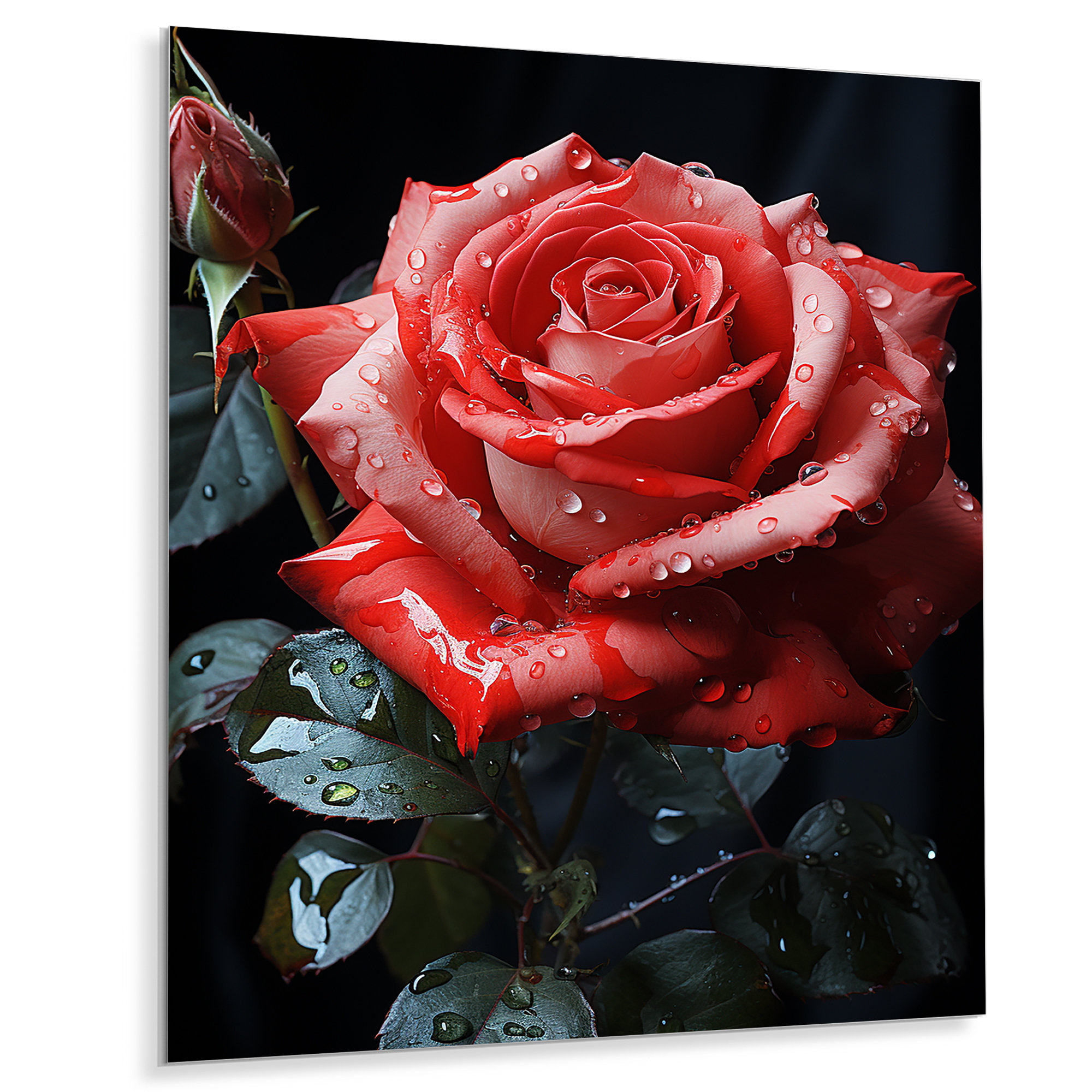 Bungalow Rose Red Black Rose Eternal Beauty III - Floral Metal Wall ...