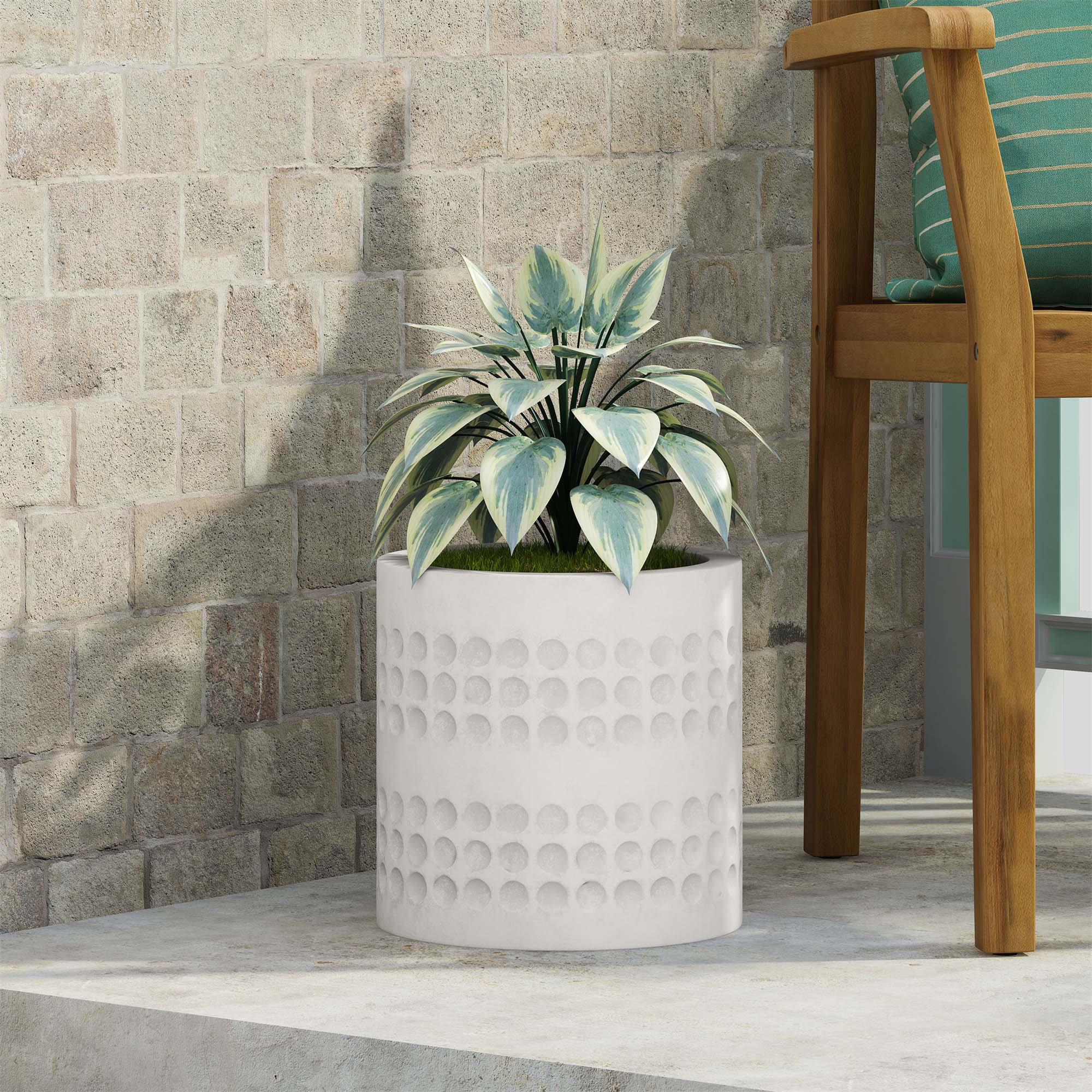 Ophelia & Co. Durable and Stylish Planter for Enhancing Garden ...