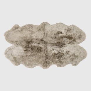 Brown & Tan Area Rugs You'll Love | Wayfair