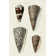 Highland Dunes " Cone Shell Collection I " - Wayfair Canada