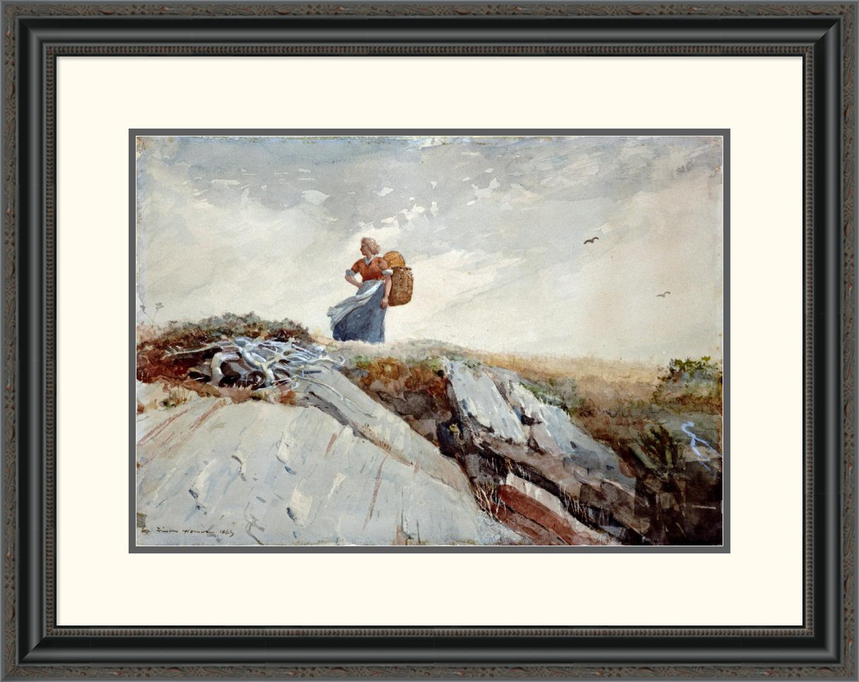 Vault W Artwork 'Down the Cliff' by Winslow Homer Framed Painting Print ...