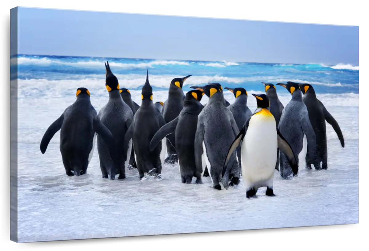 Ebern Designs Crowle King Penguin Waddle | Wayfair