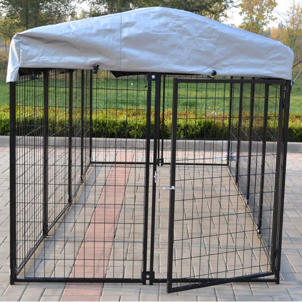 ChickenCoopOutlet 48" H Metal Yard Kennel with Door | Wayfair