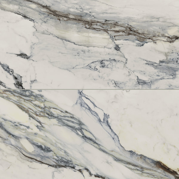 Edward Martin Aniston 24" x 48" Porcelain Marble Look Wall & Floor Tile ...