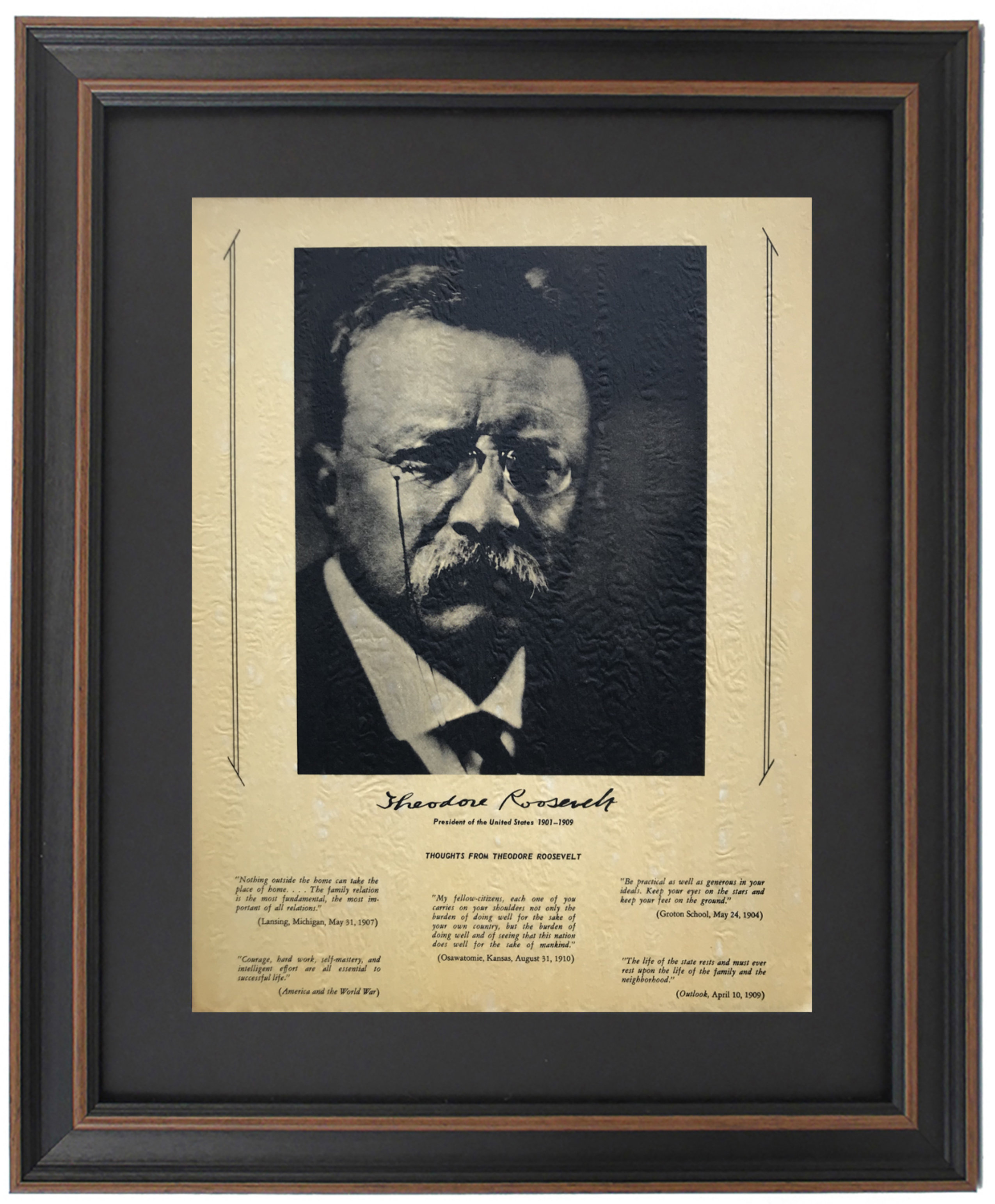 Alcott Hill® Theodore Roosevelt Portrait and Quotes | Framed Textual ...