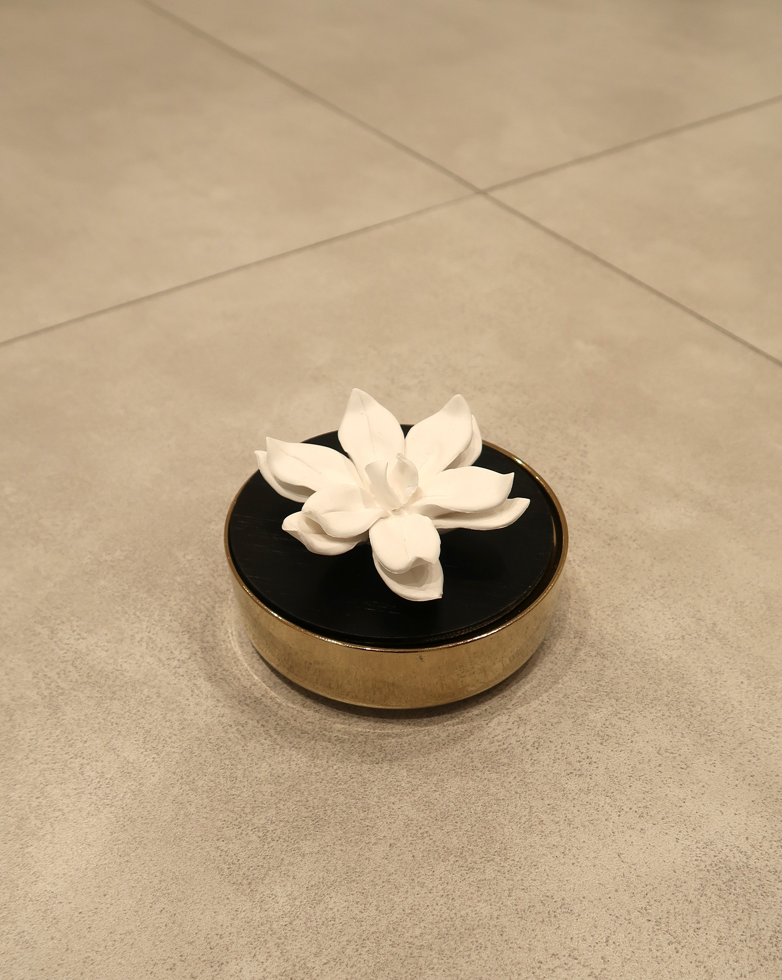 Vivience Irish and Rose Aroma Hemispheric Diffuser & Reviews | Wayfair