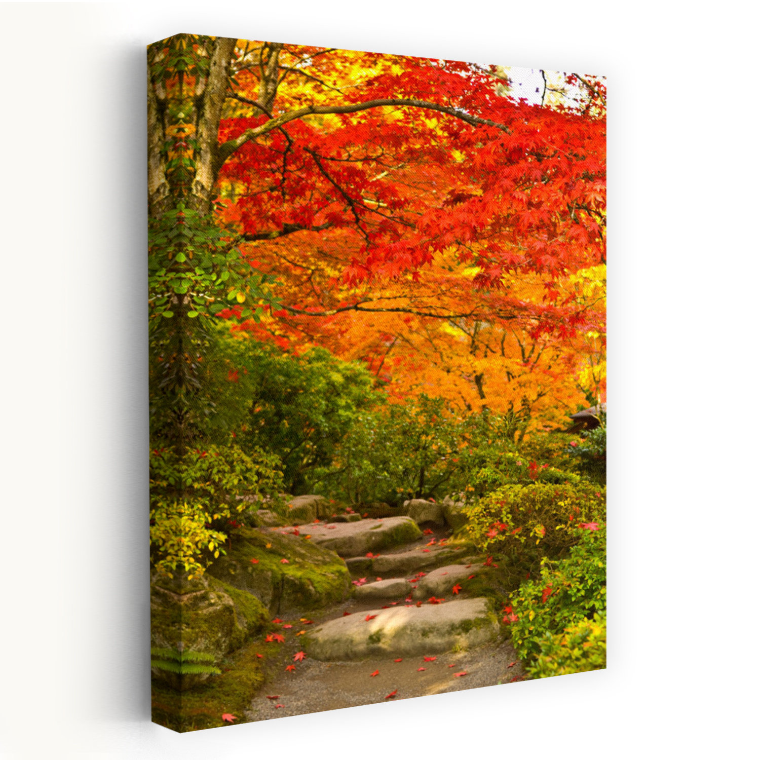 Union Rustic Stone Steps In A Forest In Autumn Washington State Usa ...