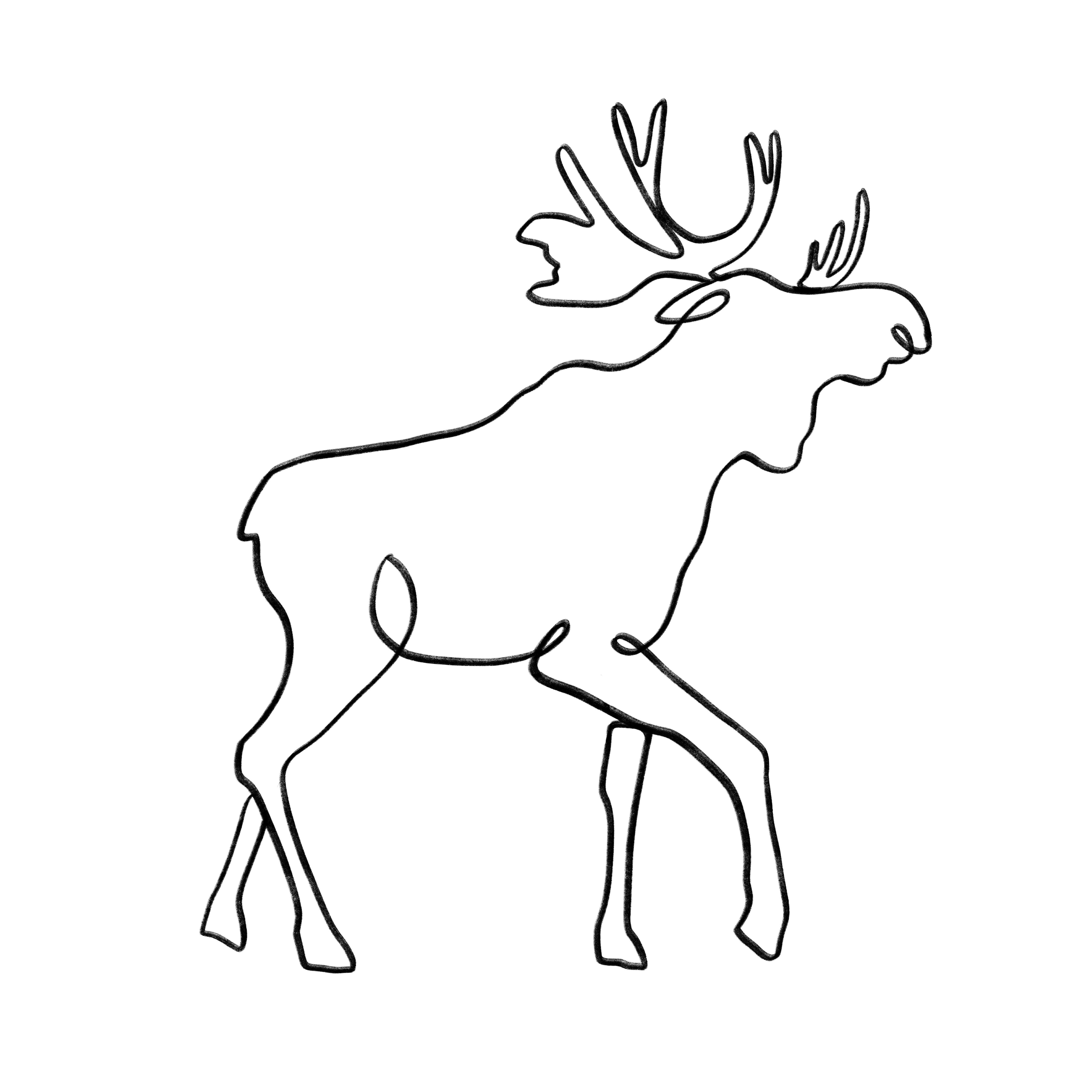 Orren Ellis Critter Contour XI - Wayfair Canada